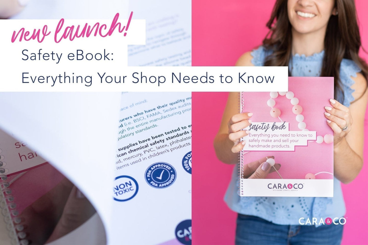 E-Book: Safety & Compliance Tools | Cara & Co.