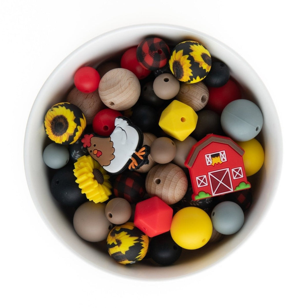 Silicone Themed Bead Packs – Cara & Co.