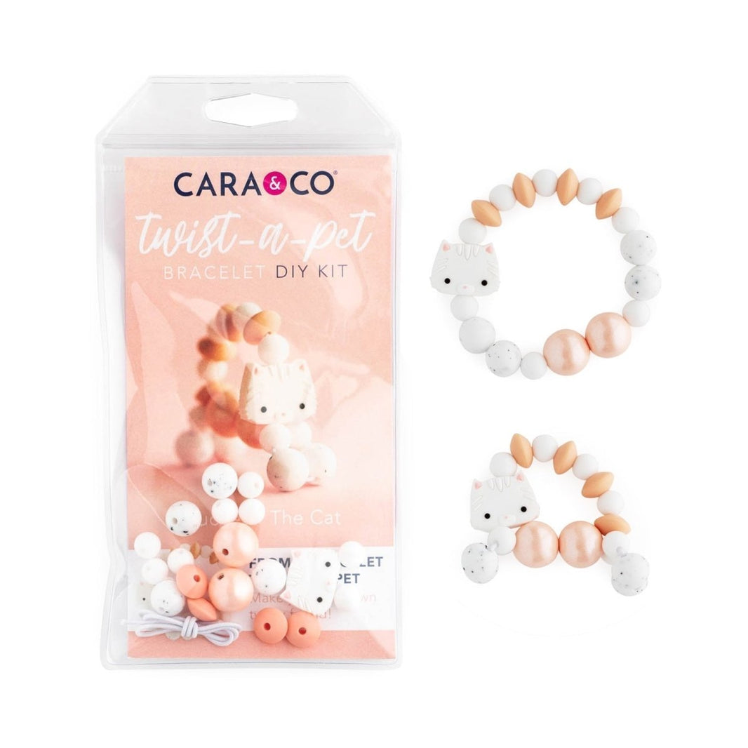 DIY Project Kits – Cara & Co.